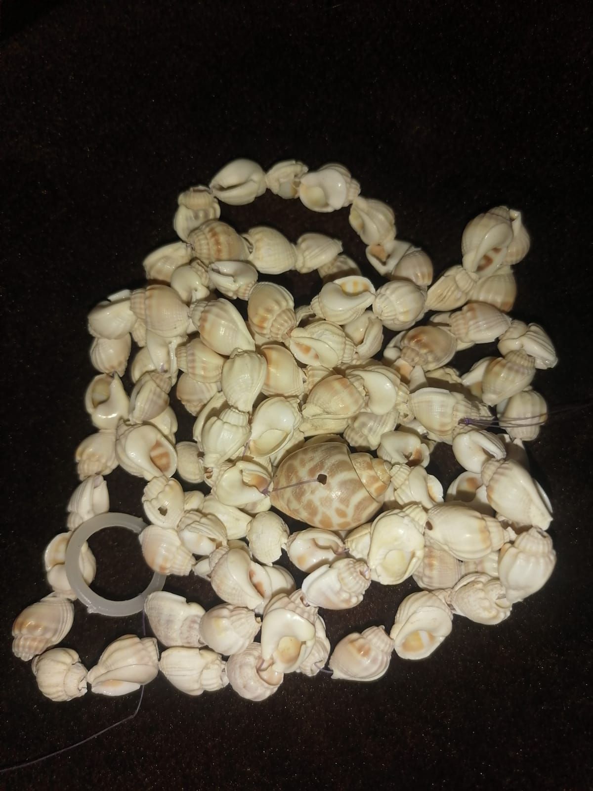 sea shell beads for resin art, jewelry making mixed (150pcs) | Daraz.pk