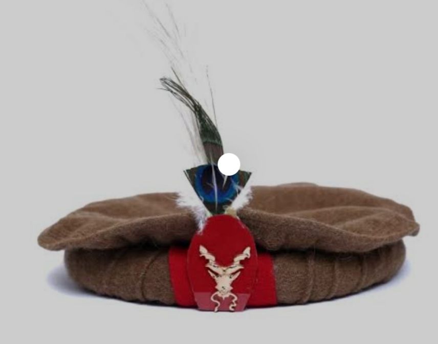 chitrali cap with markhor feather | Daraz.pk