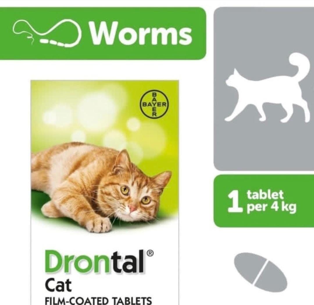 Drontal Cat Deworming Single Tablet | Daraz.pk