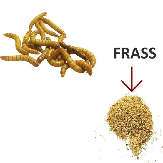 Frass Fertilizer - 1 KG | Daraz.pk