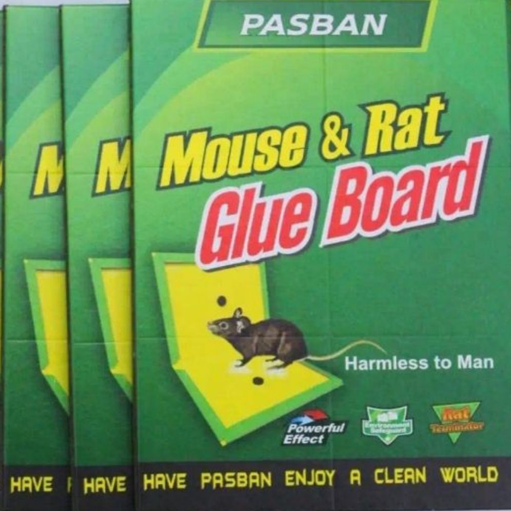 Pack Of 10 - Pasban Mouse And Rat Glue Trap | Daraz.pk