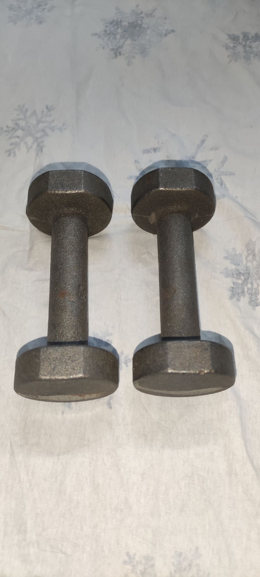 1kg PAIR Dumbbells (Imported cast iron) | Daraz.pk