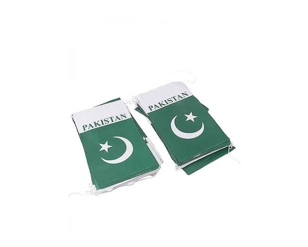 Pakistan Flag Jhandian Best Quality 80 Pcs | Daraz.pk