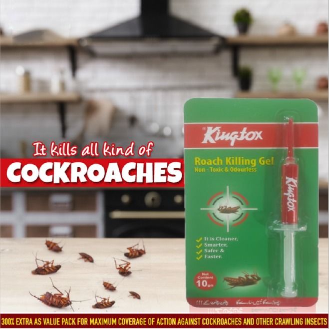 Kingtox injection 10 gram cockroach killing gel | Daraz.pk