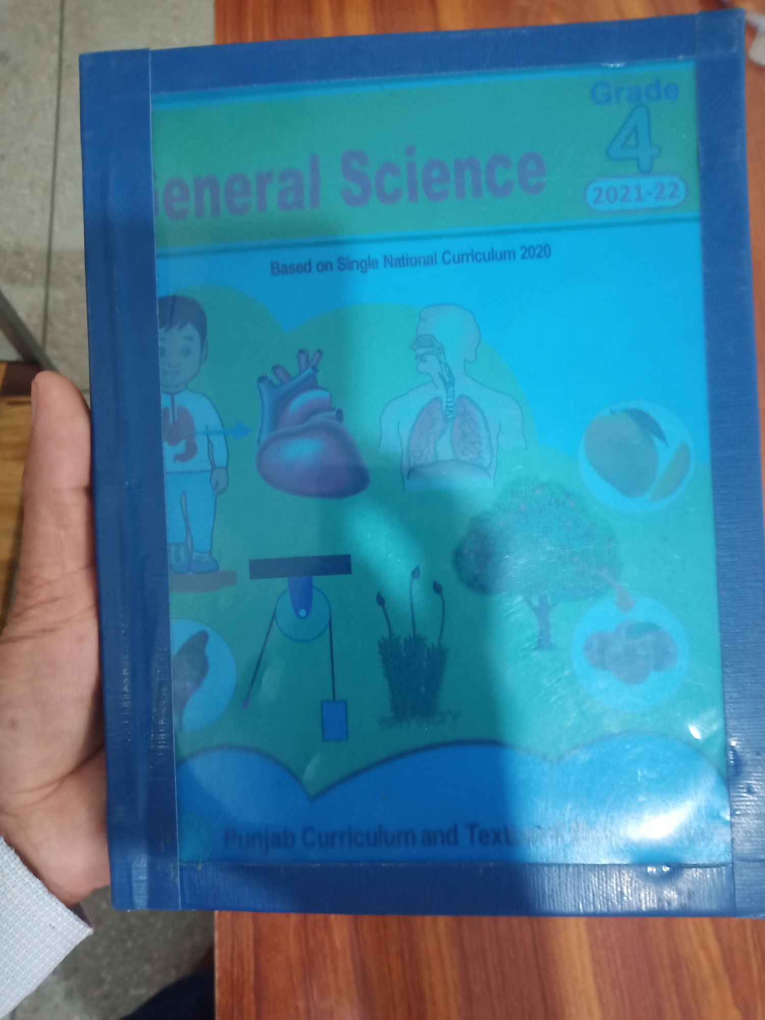 Pack of 50 Binding Sheets Blue Thick (X-ray sheets) A4 Size for Books ...