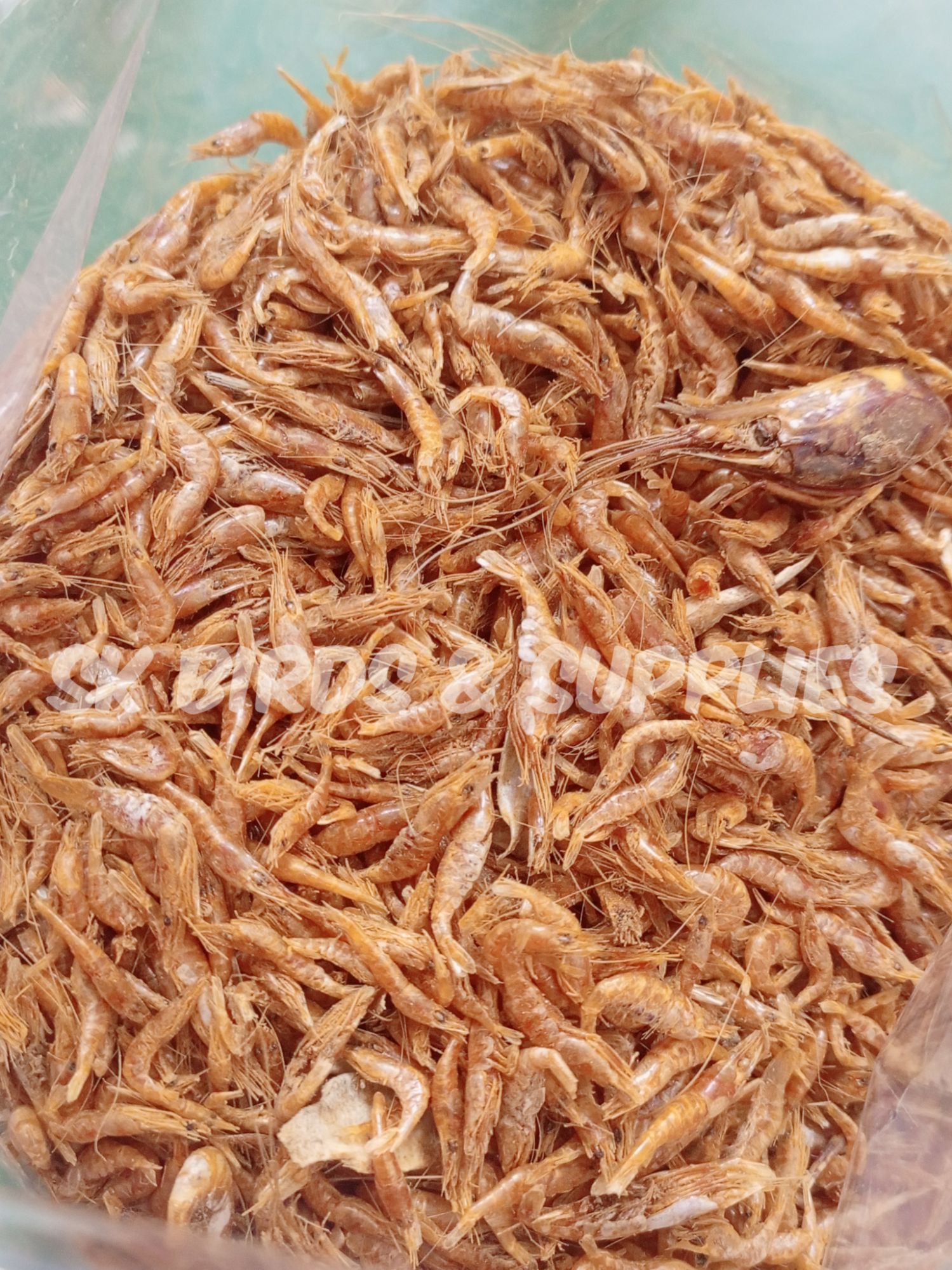 1kg Dry Prawns / Sookha Jheenga/ Dry Shrimps / Sukha Jhinga for Birds ...
