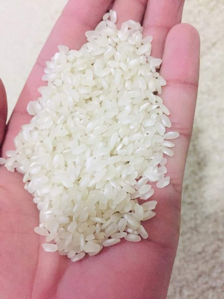 Swat Famous Begami Rice (Motta chwal) (5kg) | Daraz.pk