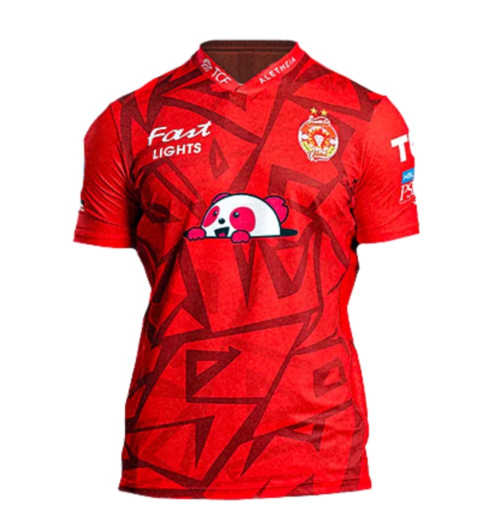 PSL Teams Official Home Ground T - Shirt / Best Quality pakistan Super ...