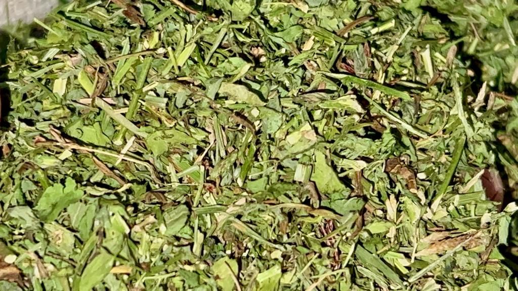 Dry Losan 40 Kg Packing Available Alfalfa Hay Losan for Rabbit Feed ...