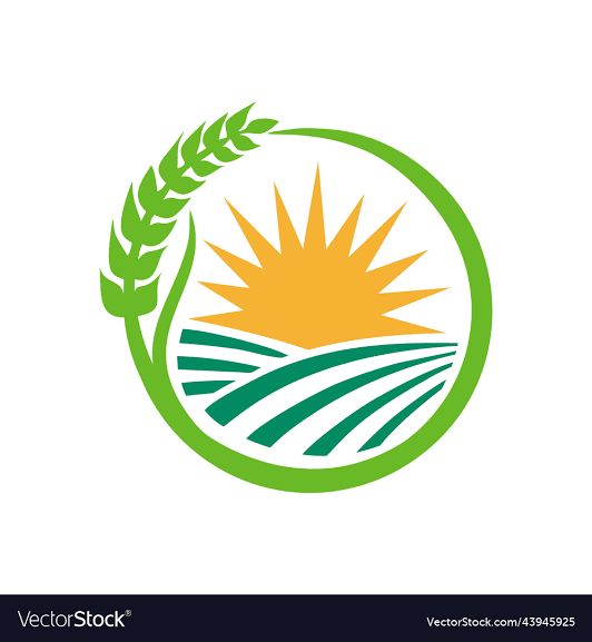 Shop online with Hamza Rice Trader's now! Visit Hamza Rice Trader's on ...