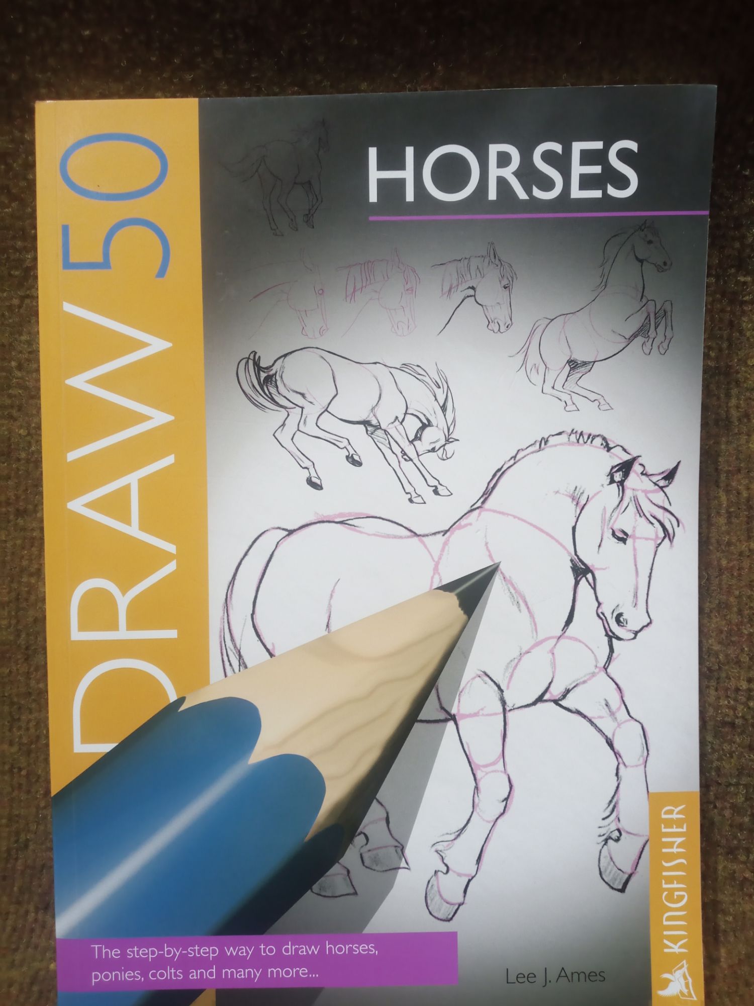 Draw 50 Horses (Draw 50) | Daraz.pk