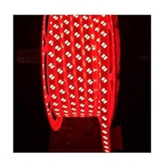 Double LED rope light celling light for indoor and outdoor decorations ...