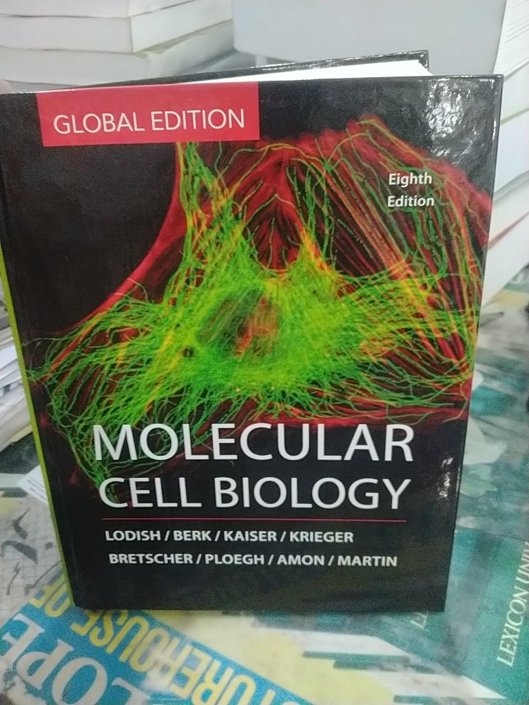 Molecular Cell Biology 8th edition | Daraz.pk