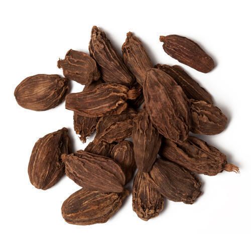 Fresh Bari Elaichi 50gm | Daraz.pk