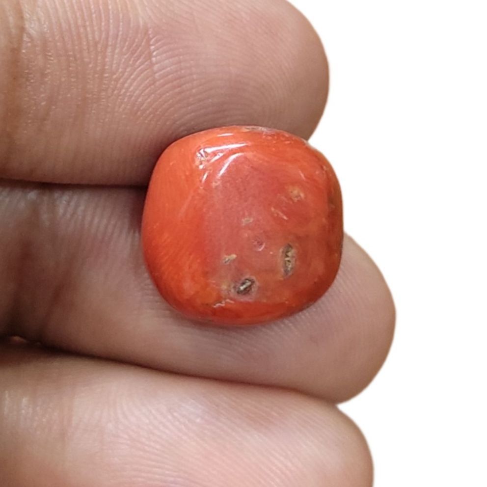 Natural Coral | Marjan Stone | Daraz.pk