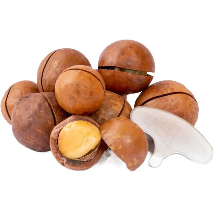 Chabi wala Akhrot 1 KG | Daraz.pk