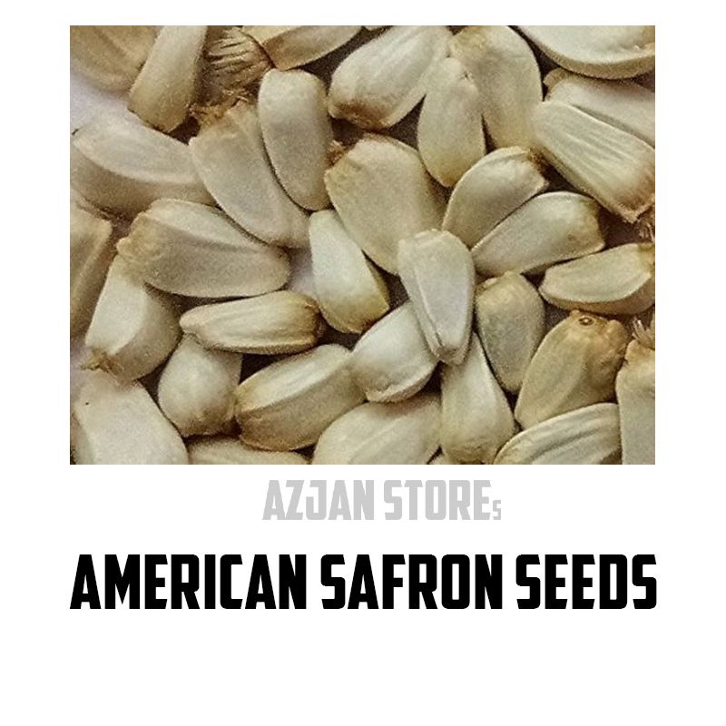 Original American saffron seeds pack of 300 seeds deal | Daraz.pk