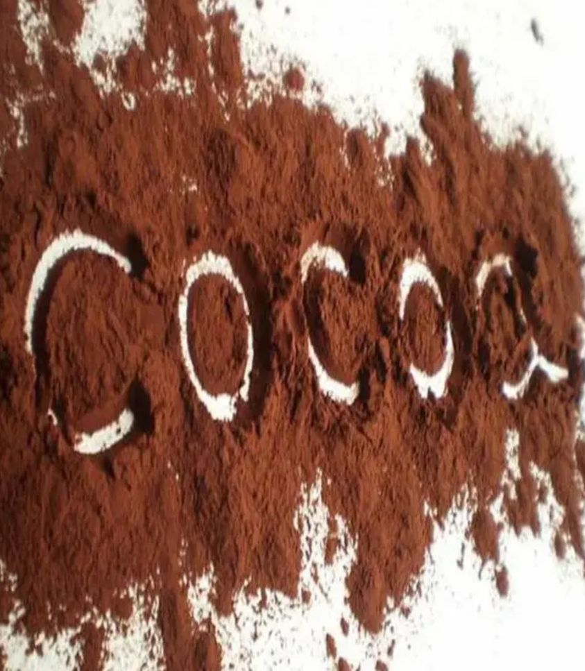 Coco powder Chocolate Powder 1 kg | Daraz.pk