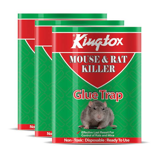 Kingtox Mouse and Rat Killer Glue Trap | Daraz.pk