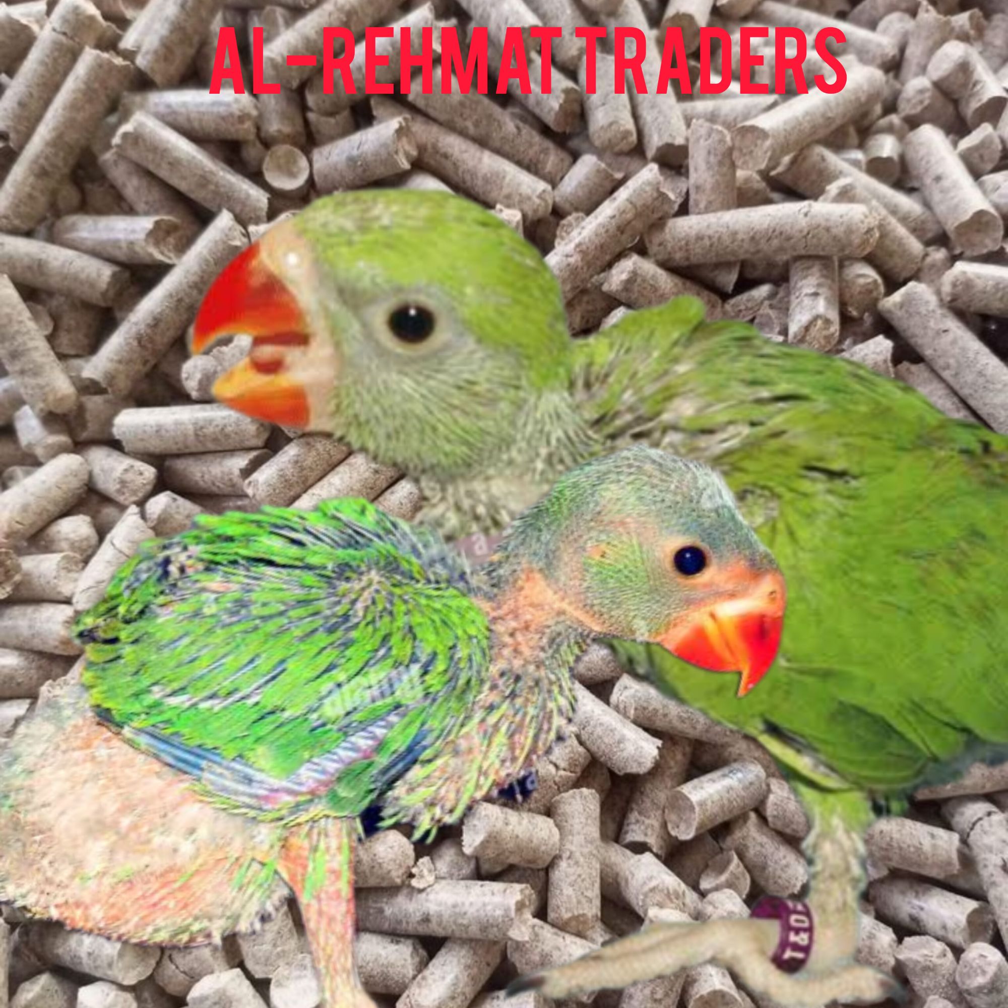 Wood pallets for parrot and birds chiks 1kg | Daraz.pk