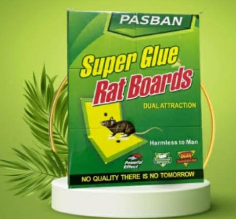Pack Of 10 - Pasban Mouse And Rat Glue Trap | Daraz.pk