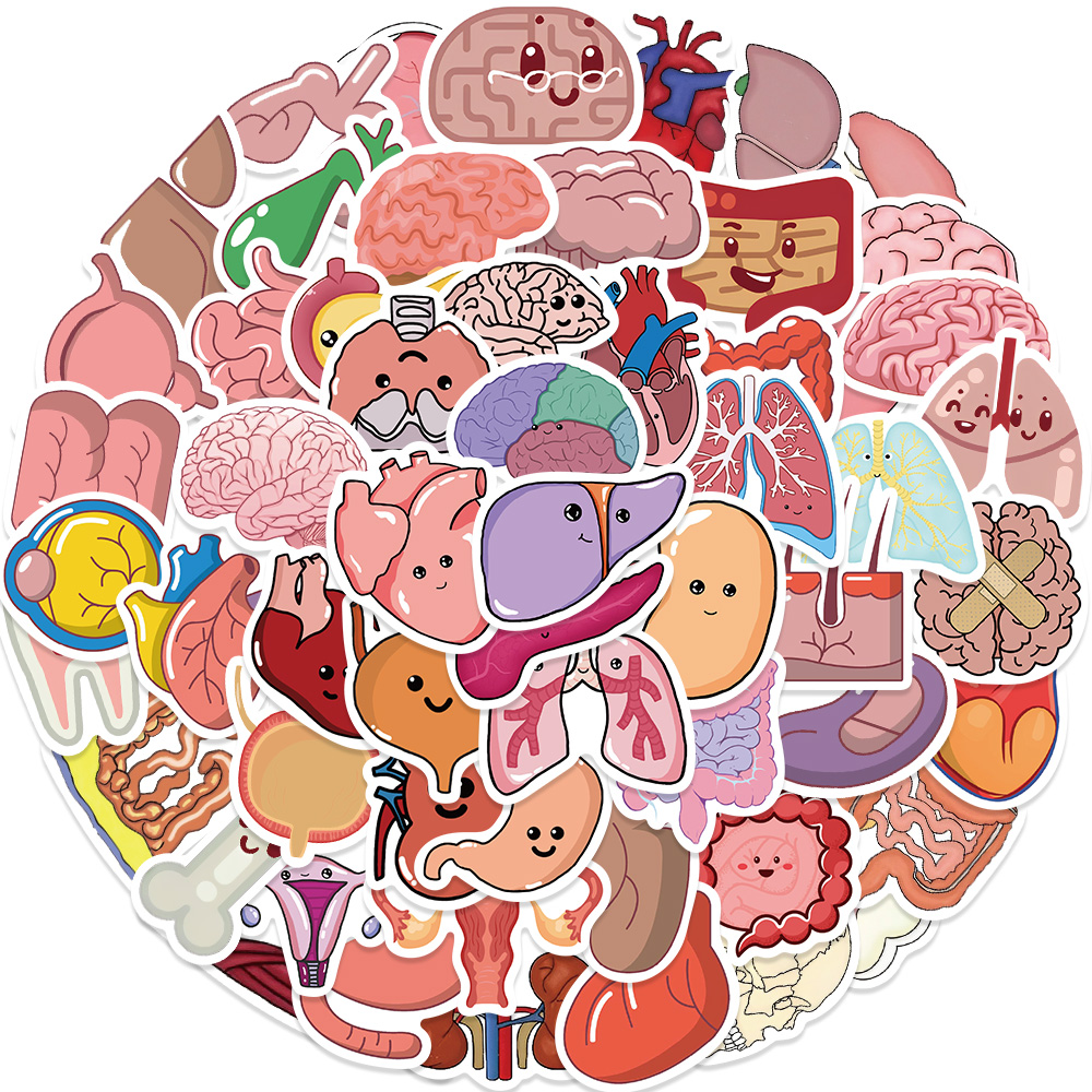 65Pcs Cartoon Human Body Organ Stickers Waterproof Sticker Anatomy Map ...