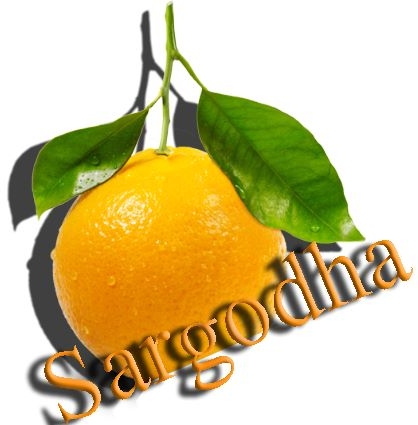 Shop online with Rana.Sab now! Visit Rana.Sab on Daraz.