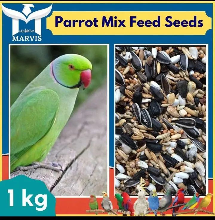 Mixed bird food Feed seeds Cocktail lovebirds fisher parrots (pack of 1 ...