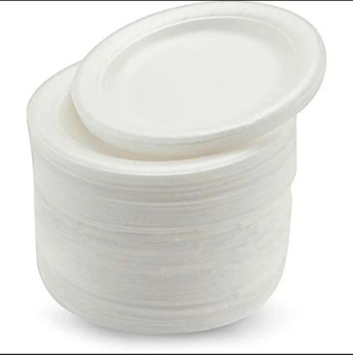 disposable plates pack of 12 | Daraz.pk