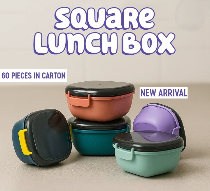 700ml Square AirTight Lunch Box with Transparent Lid (Assorted Colour ...