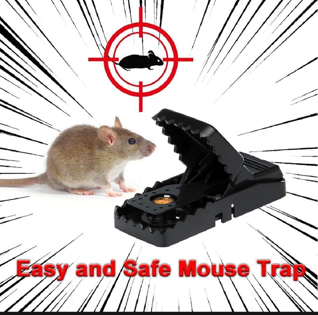 Mouse Trap High Quality Plastic Mice Catcher with Stainless Steel ...