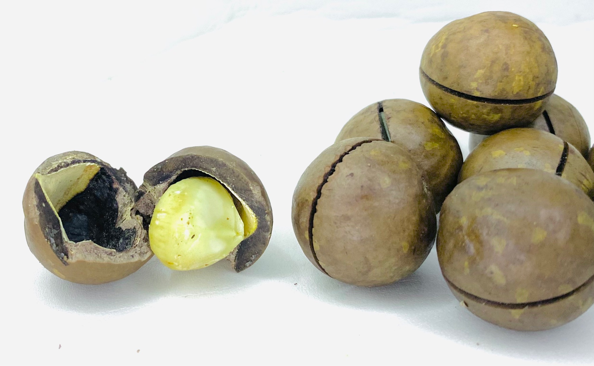 Macadamia Nuts 250 grams | Chabi wale akhrote | Daraz.pk