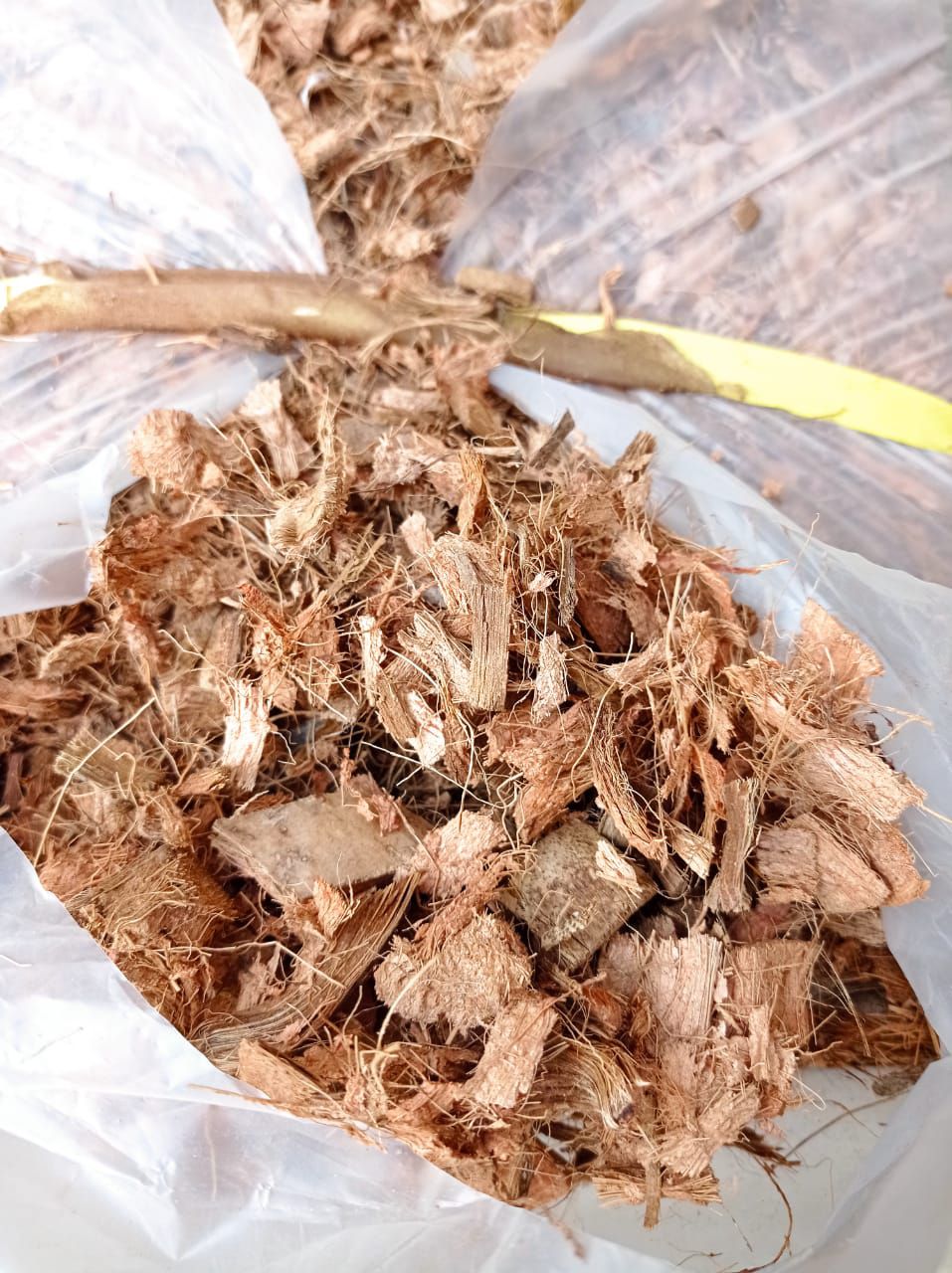 Coco Chunk , coco husk ,coco coir , soilles media for plants | Daraz.pk