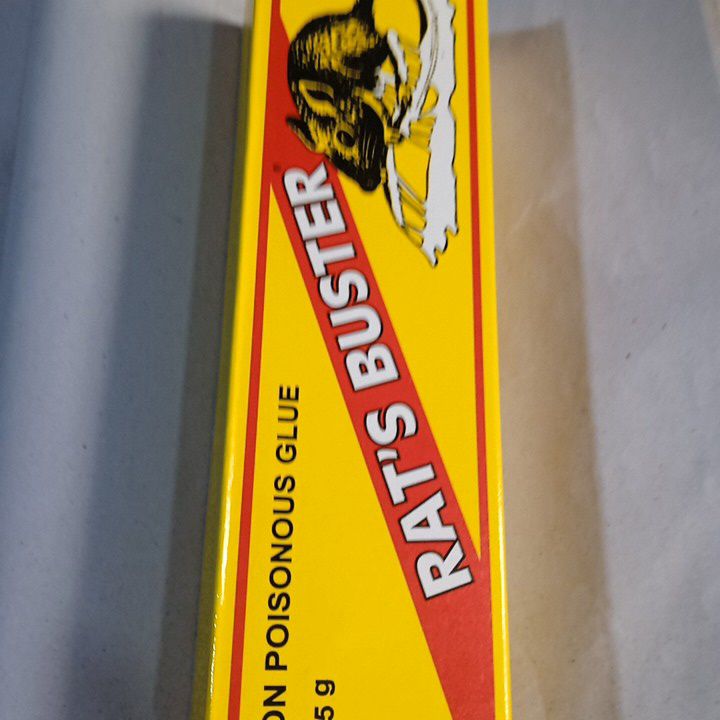 Rat buster glue for Rat cakrough wall lizards office home kitchen ect ...