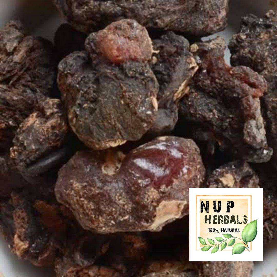 Moringa Gum / Moringa Gond / Sohanjana Gond Pack Of 50Grams | Daraz.pk