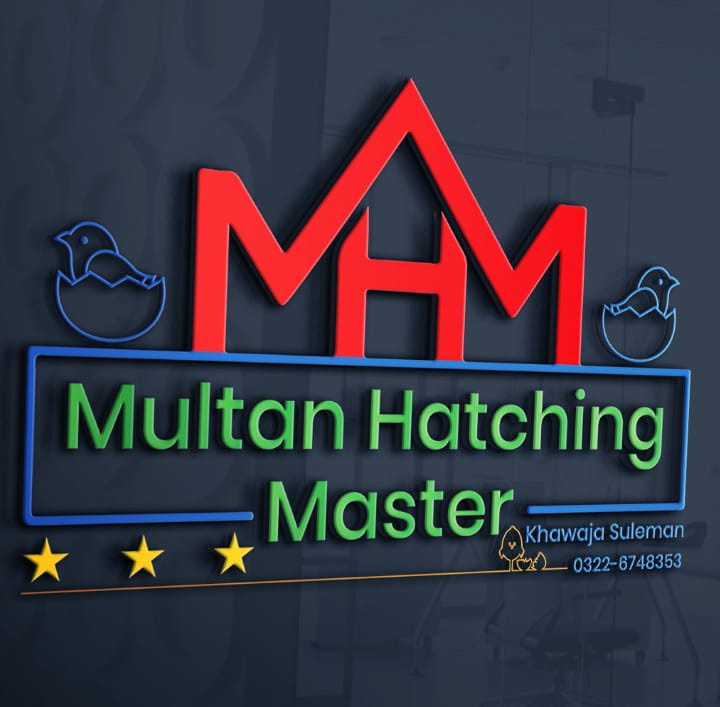 Shop online with Multan Hatching Master now! Visit Multan Hatching Master on Daraz.