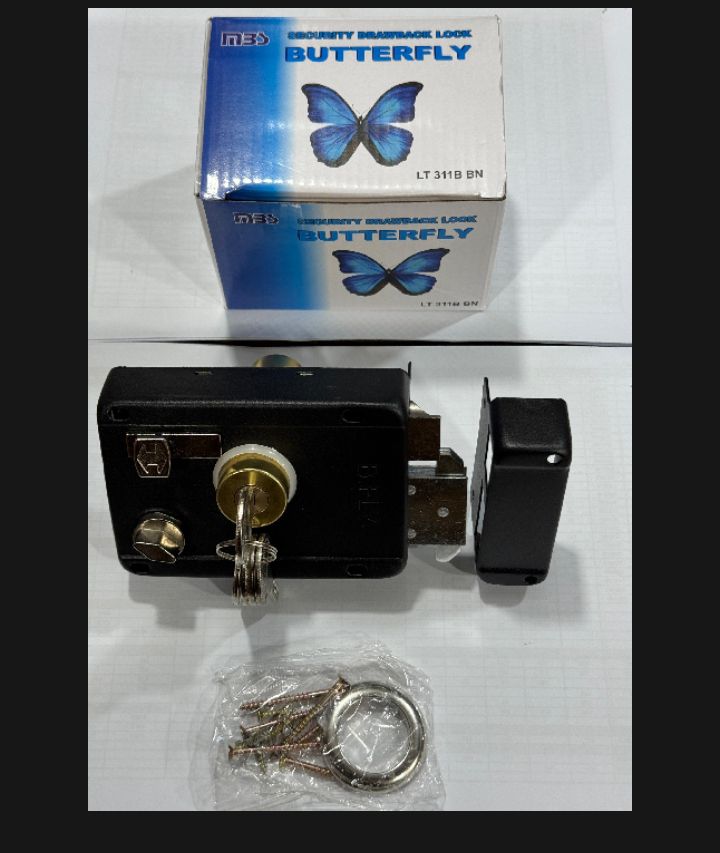 "Heavy Duty Metal Main Gate Lock | Weatherproof Security Door Lock with ...