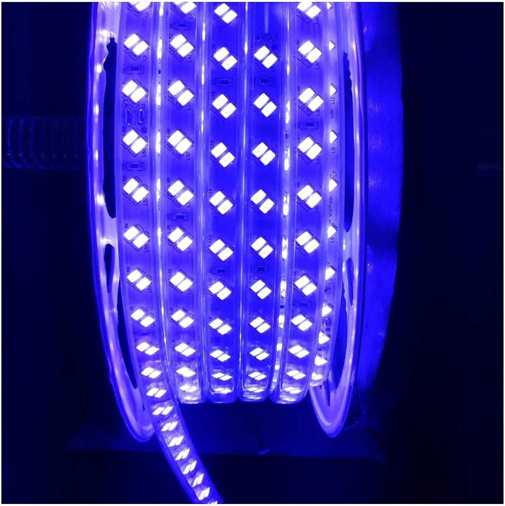 Double LED rope light celling light for indoor and outdoor decorations ...