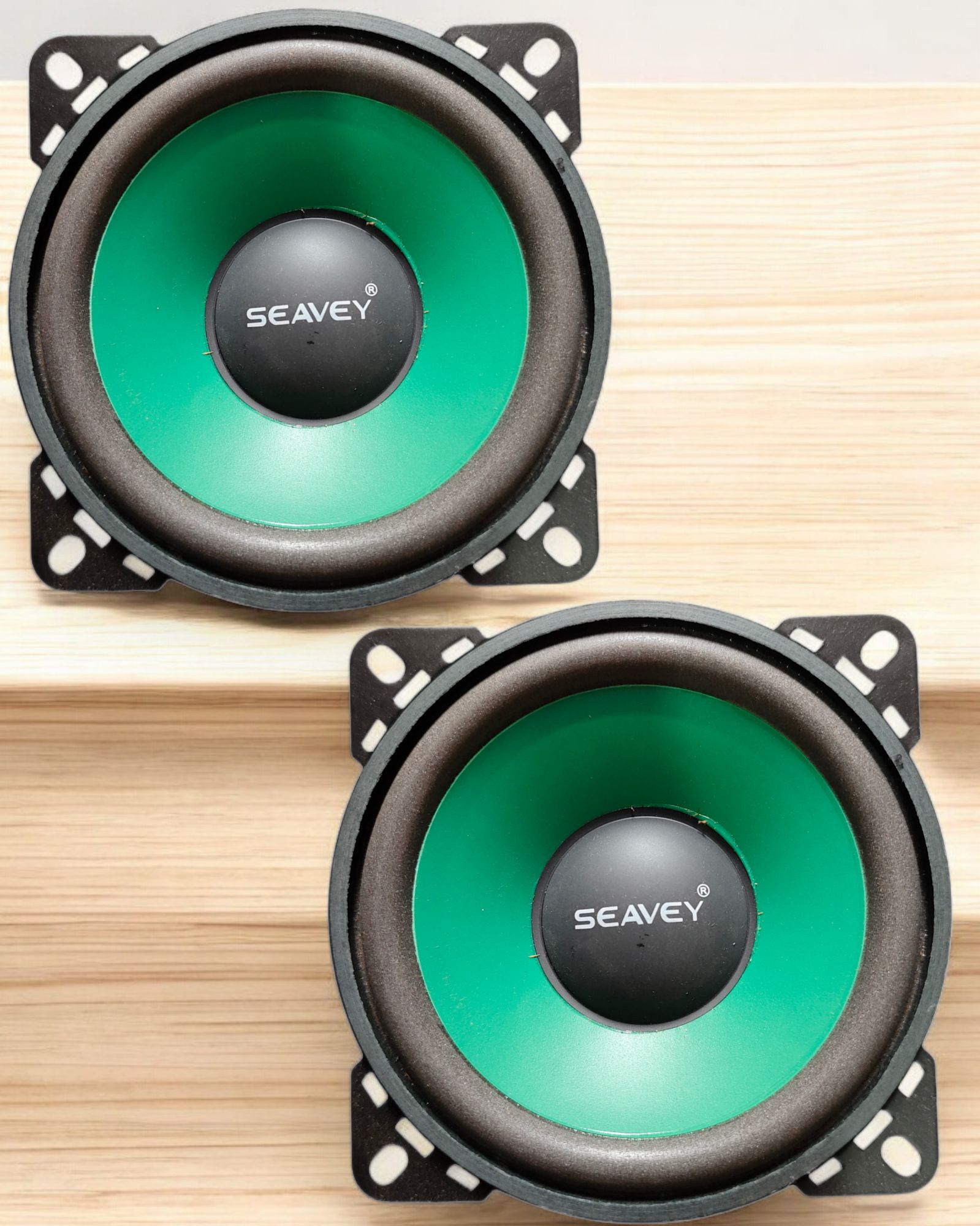 2Pcs 4 inches 4ohms 80W Speaker Submersible Buffer Speaker | Daraz.pk