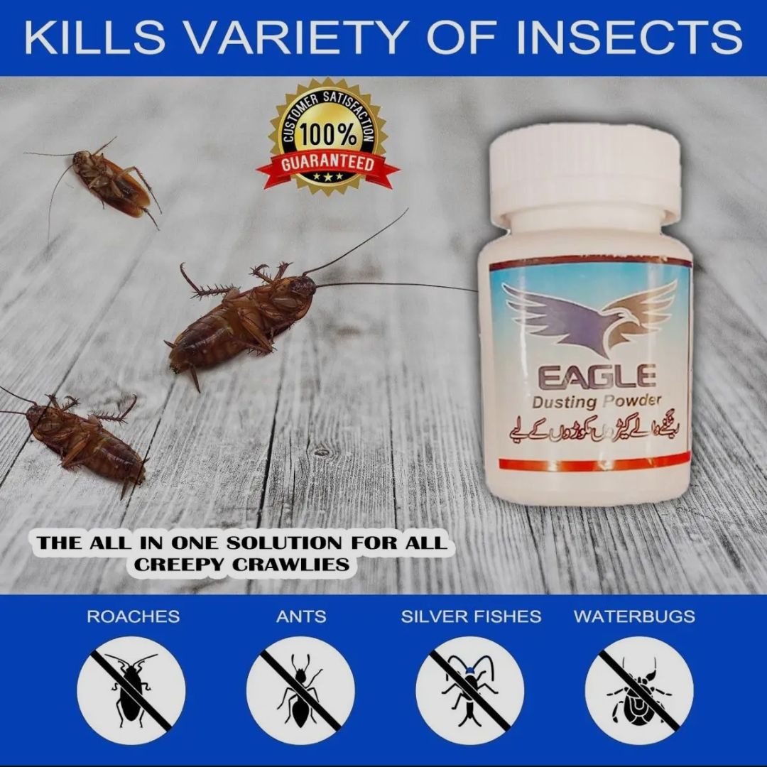 Eagle Dusting Powder Best for Cockroaches - (Holland Imported) | Daraz.pk
