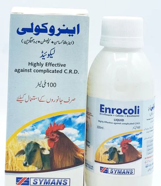 100 Ml Symans Enrocoli Liquid | Daraz.pk