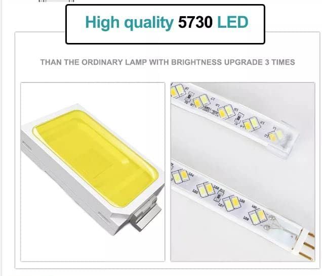Double LED rope light celling light for indoor and outdoor decorations ...