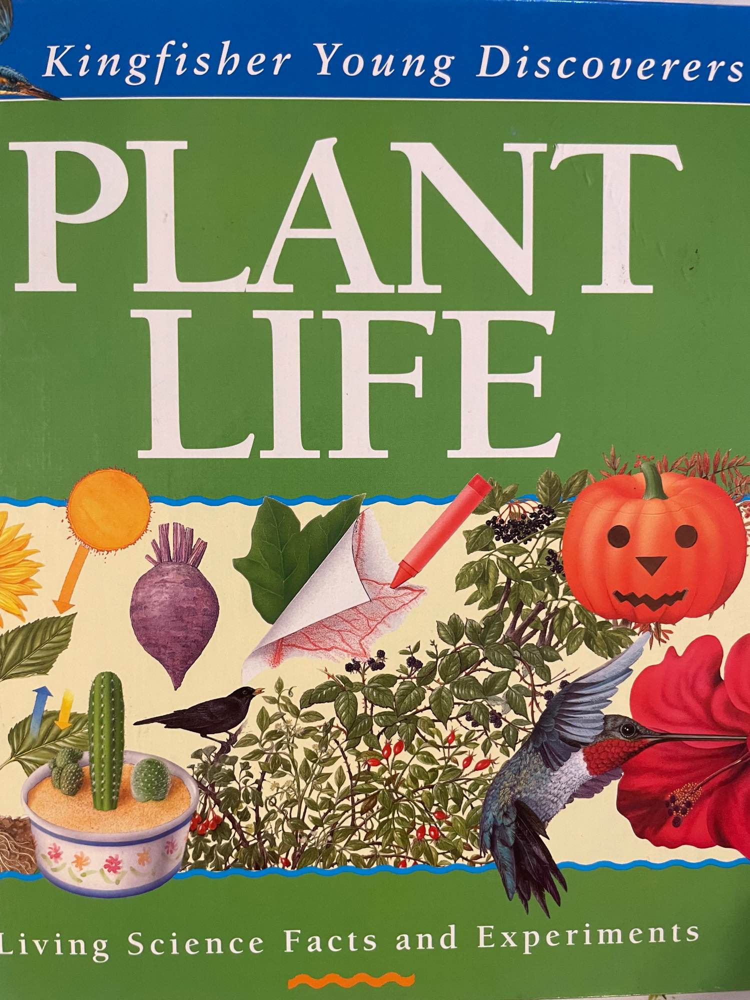 Plant life by king fisher | Daraz.pk