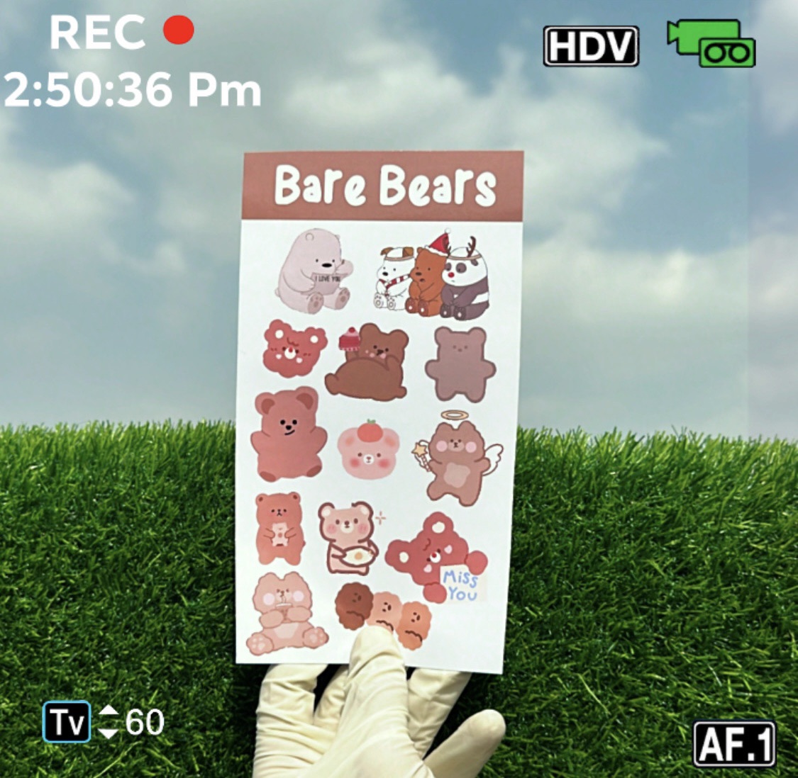 Cute Bears Aesthetic Journal Mini Sticker Sheet | Daraz.pk