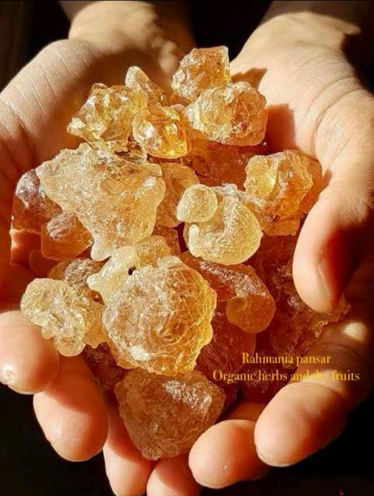 Gond Keekar | گوند کیکر - Babool Gum | Gond Kikar | 100gm-250gm-500gm ...