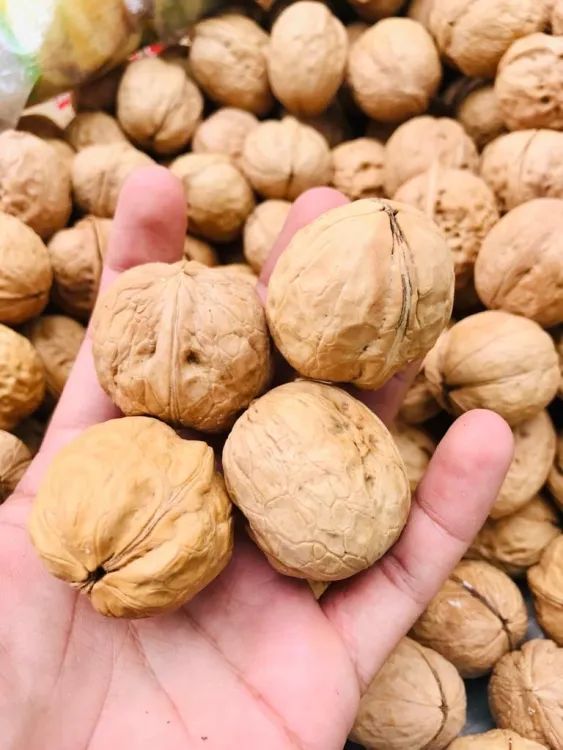 Akhroot kagzi 1 kg best quality walnuts meetha akhroot dry fruit | Daraz.pk