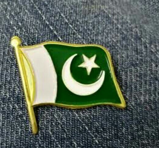 Pakistan Flag logo badge made with metal | Daraz.pk