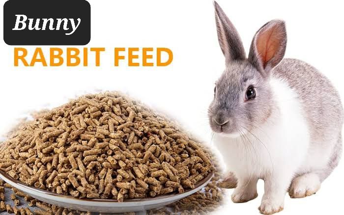 Rabbit food- Rabbit feed -bunny feed-1kg | Daraz.pk